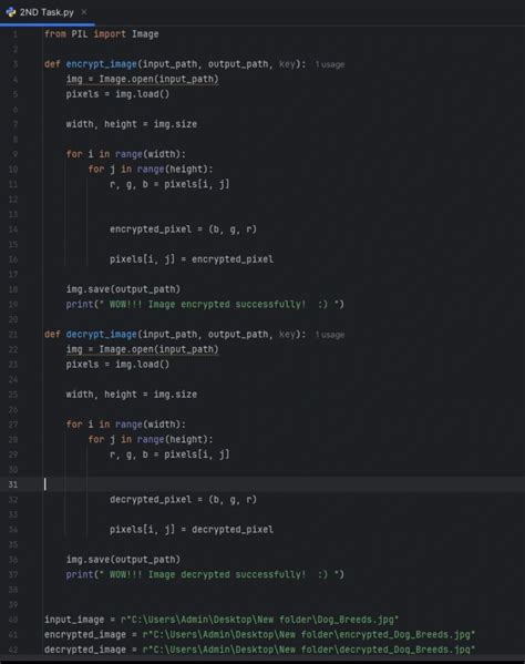 Yehia Fayyad On Linkedin Prodigyinfotech Cybersecurity Python Imageencryption