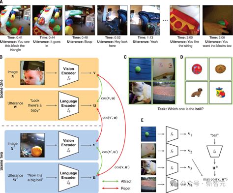 美国教授用2岁女儿训AI模型登Science人类幼崽头戴相机训练全新AI 智源社区