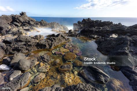 랑게빈 생요셉 레위니옹 섬의 화산 암초에 다채로운 산호가 있는 바다의 아름다운 경치 레위니옹 섬에 대한 스톡 사진 및 기타 이미지 레위니옹 섬 휴가 0명 Istock