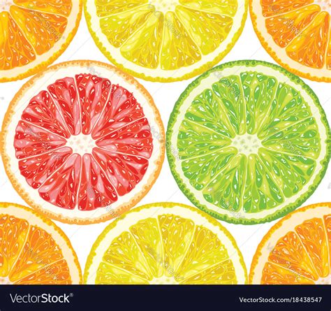 Orange And Lemon Slices Delicious Candied Citrus Slices Recipe