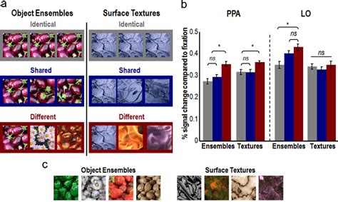 Figure 1 From Object Ensemble Processing In Human Anterior Medial