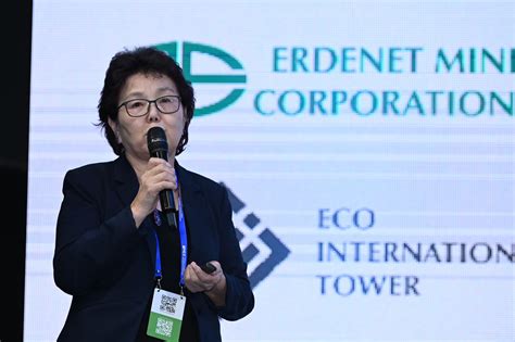 Монголын Геологи Монголын Геологи Хайгуул Чуулга Уулзалт