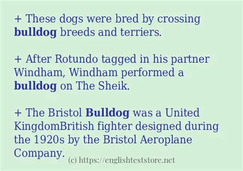 How To Use The Word Bulldog Englishteststore Blog