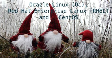 Oracle Linux Ol Red Hat Enterprise Linux Rhel And Centos