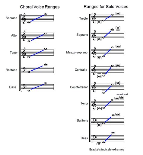 Voice Types — Adi Denner