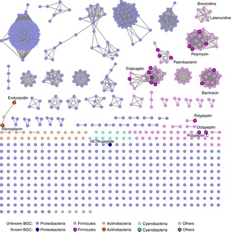 A Peptide Similarity Network Of The Cnrps Showing Their Diversity Download Scientific Diagram
