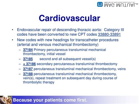 PPT CPT Coding Update PowerPoint Presentation Free Download ID