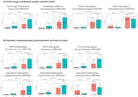 Nutrients Free Full Text Association Of The Gut Microbiota With The Hosts Health Through An