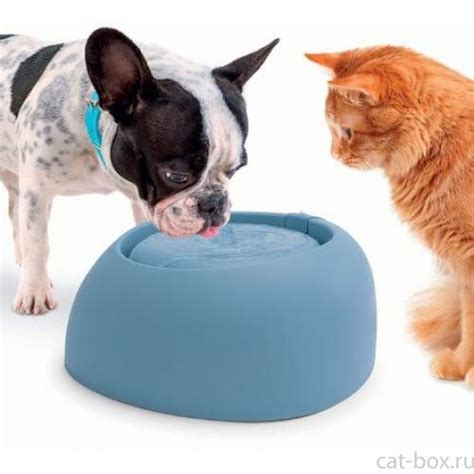 Купить поилка-фонтан для кошек и собак PET FOUNTAIN, 2 л, голубая IMAC