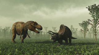 How Did Dinosaurs Have Sex Live Science