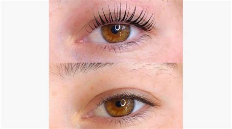 Lash Tint And Lift Permanent Makeup And Aesthetics