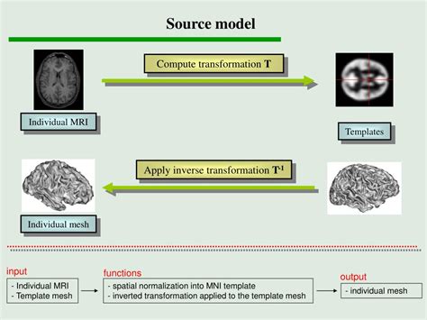 Ppt Eegmeg Source Reconstruction Powerpoint Presentation Free Download Id3701716