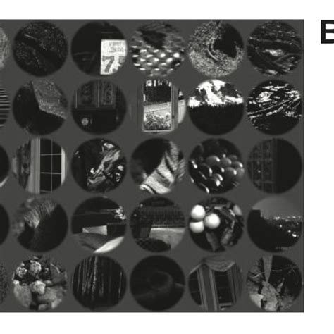 Sample Of Images From Training And Holdout Datasets A 50 Images Download Scientific Diagram