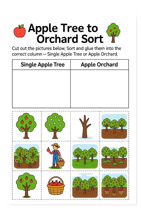 Apple Tree To Orchard Sort Worksheet Download And Print Now