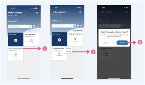 Creating Editing And Deleting A Project