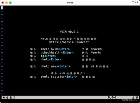 Neovim 安装neovim安装 Csdn博客