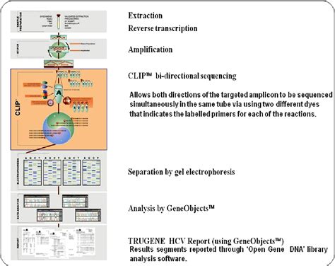 Figure 2 From Hepatitis C Virus Genotyping In Chronic Hepatitis C