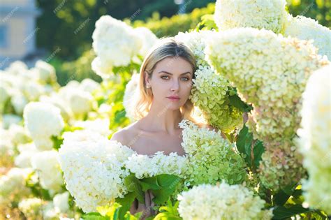 Junge Sexy Frau Oder Mädchen Im Blühenden Busch Von Hortensienblumen Auf Natürlichem Hintergrund
