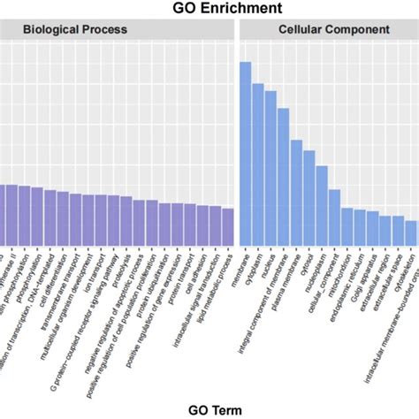 KEGG Enrichment And GO Enrichment A Differential DNA Methylation Are