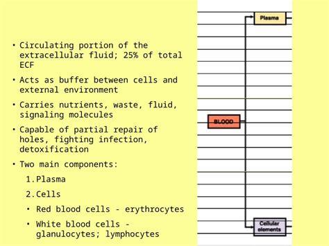 Ppt Circulating Portion Of The Extracellular Fluid 25 Of Total Ecf
