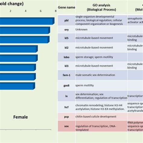 Functional Annotation Of Differentially Expressed Sex Differentiation