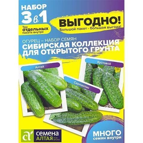 Огурец Сибирская коллекция Для лткрытого грунта, семена – купить в ...
