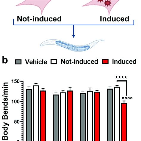 Time Dependent Effect Of The Induction Of Tau P301l Expression In Hek Download Scientific