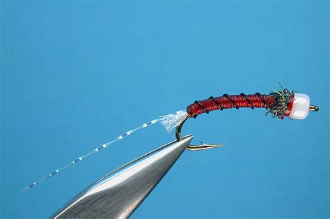 Tiger Midge