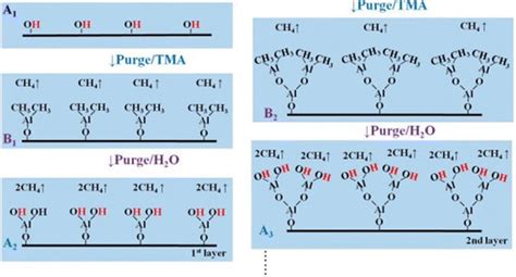 Schematic Illustration Of Ald Al 2 O 3 Growth Process First Layer