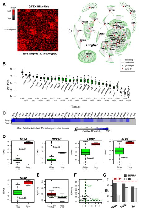 Teschendorff Lab Papers