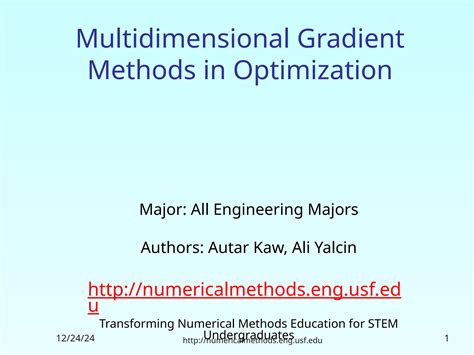 Multigradient Based Data Science Optimizationppt