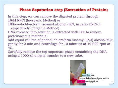 Dna Extraction Methods Pdf