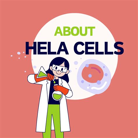 Understanding Propidium Iodide
