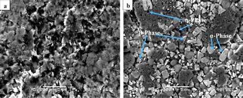 Sem Microstructure Of A Ut B Ct P 30 Cemented Carbide Inserts Download Scientific Diagram