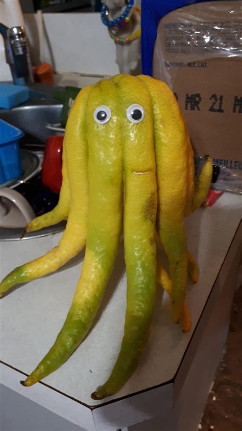 When Life Hands You Lemons Scrolller