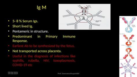 Lecture 18 Types Of Immunoglobulins Their Isotypes And Generation Of Diversity Pptx