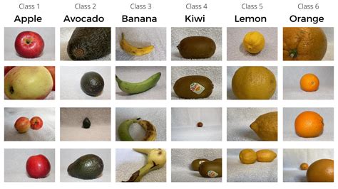 Fruit Classification Using A Convolutional Neural Network