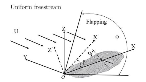 Aerodynamic Performance Of The Flexibility Of Corrugated Dragonfly Wings In Flapping Flight