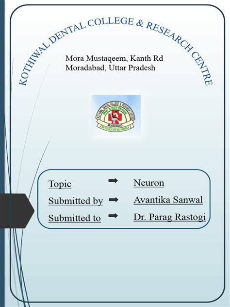 Neuron Pdf Science And Mathematics