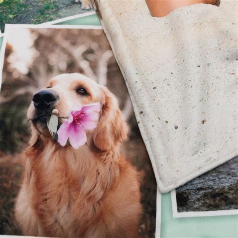 Custom Double Sided Blanket Double Sided Photo Blanket 50