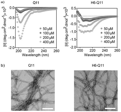 一种靶向s100a9的自组装融合多肽及其应用