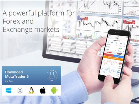 迈达克mt5网页版正式发布