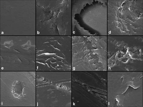 A SEM Micrograph Of LDPE Film Before Incubation As Control 5000 B Download Scientific