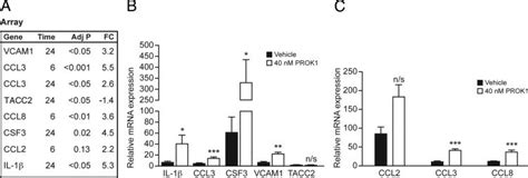 Validation Of Gene Array Analysis By Quantitative Real Time Pcr A Download Scientific Diagram