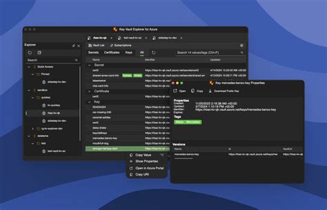Avalonia UI Showcase