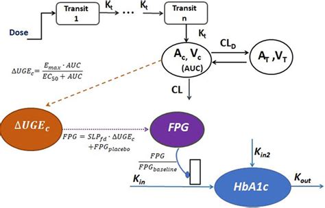 The Proposed Model Structures For Pk Pkpd And Pdend Points Auc Download Scientific
