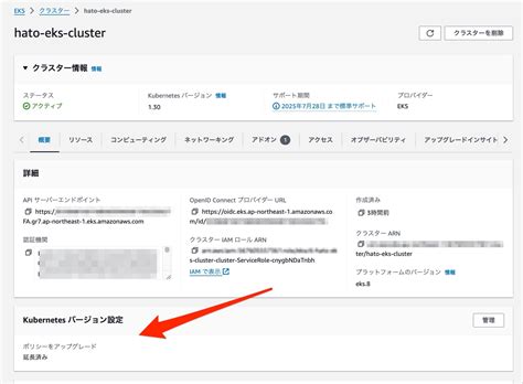 Eks で標準サポート期間終了時に自動で延長サポートに移行するか教えてください Developersio