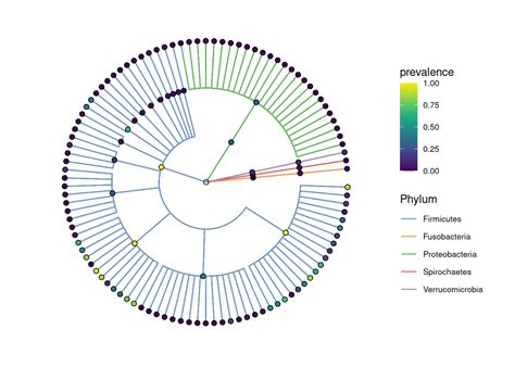 11 Exploration And Quality Control Orchestrating Microbiome Analysis