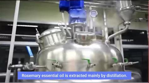 Weizhi Chen On Linkedinaromahtml Welcome To Our Full Production Process Of