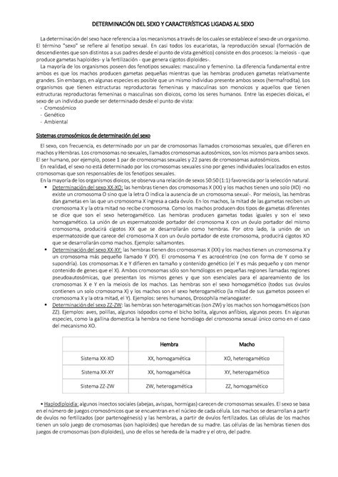 Determinación del sexo y características Ligadas al sexo DEL SEXO Y LIGADAS AL del sexo hace